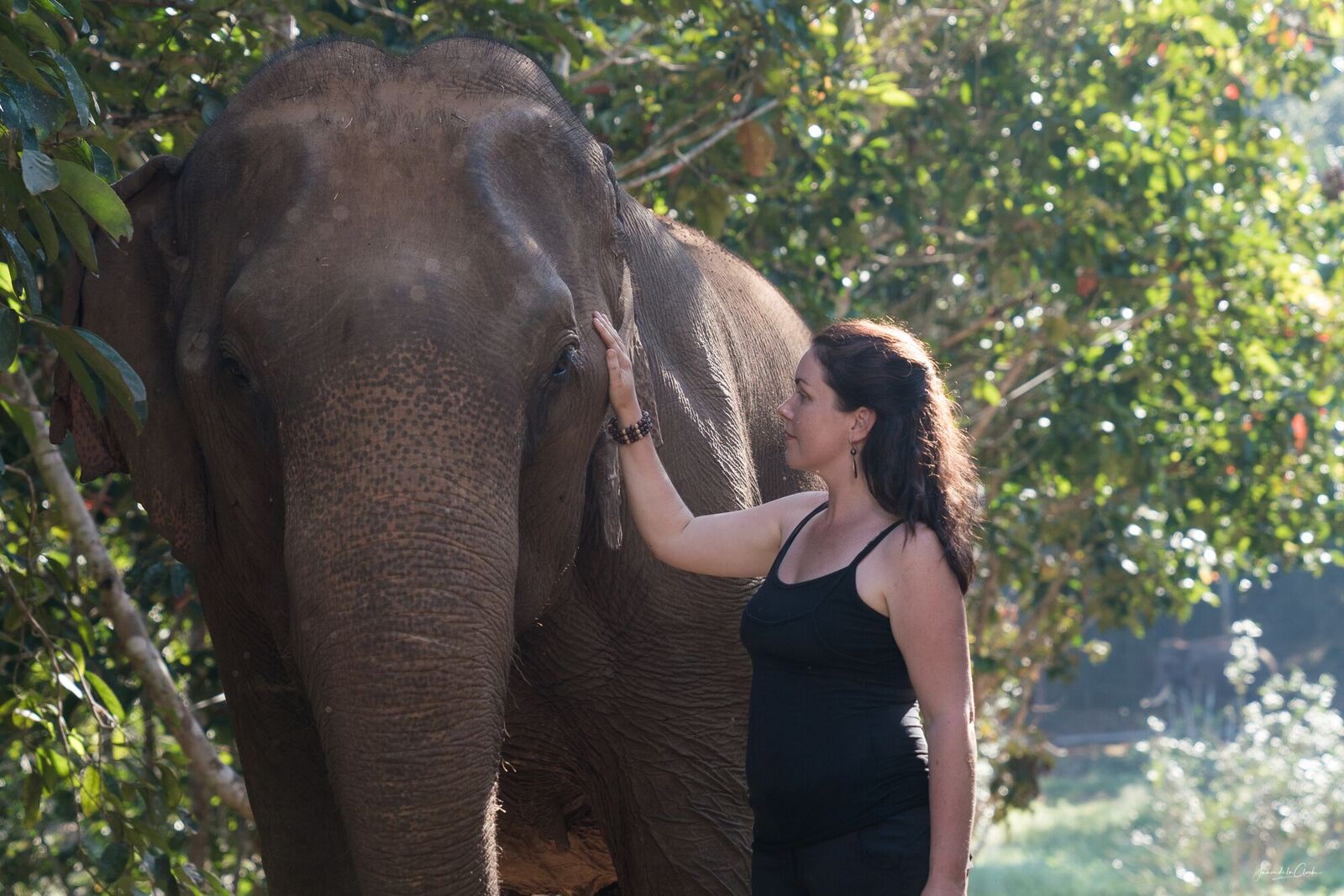 Wild Women Expeditions - JourneyWoman Women's Travel Directory